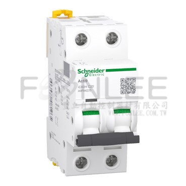 iC60H2 - earth leakage circuit breaker - 2P - C curve - 25 A - 30m A - 240 V