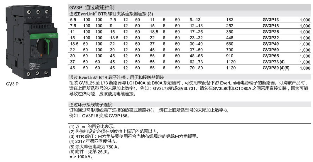 TeSys D電機斷路器 GV3P40-GV3P MOTOR CB THERM/MAG 30-40A EVERLINK-NMTEGV3P40-NM